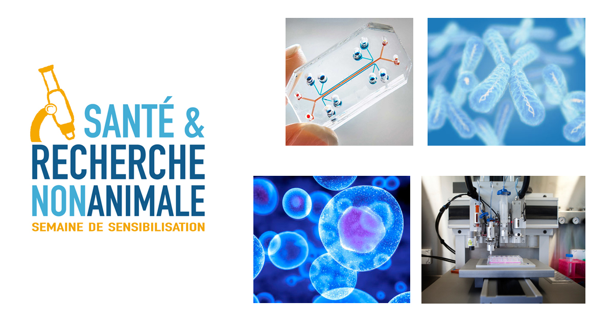 Les méthodes non-animales pour améliorer la santé - Pro Anima