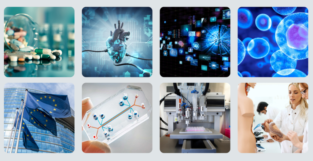 Awareness-raising actions - Pro Anima