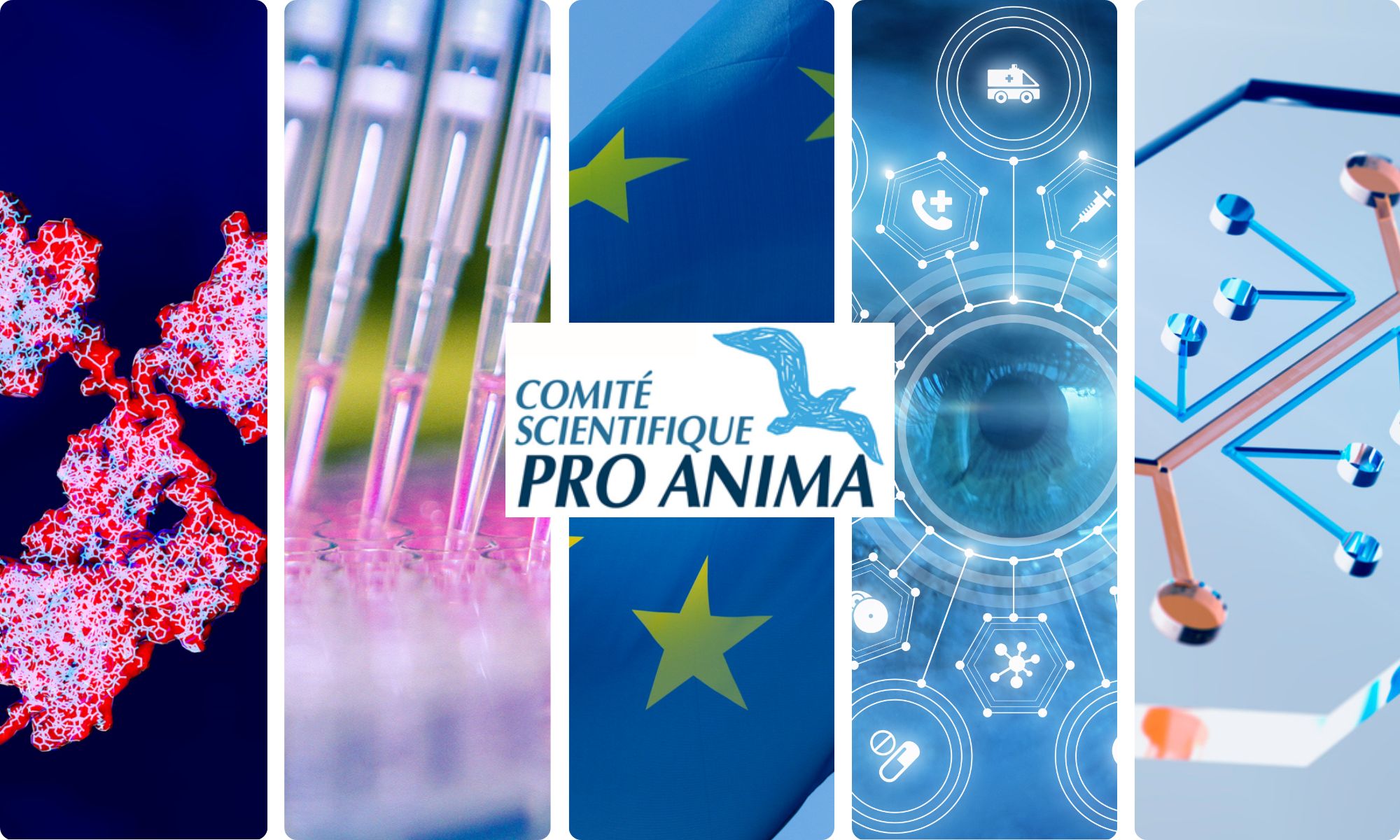 Actualités - Pro Anima